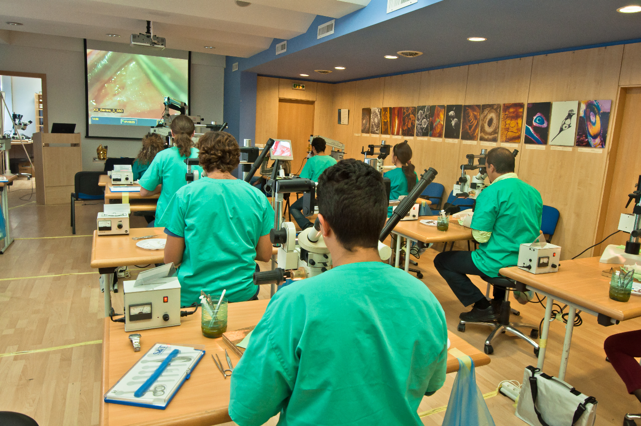 PRO-DEO STATE UNIVERSITY